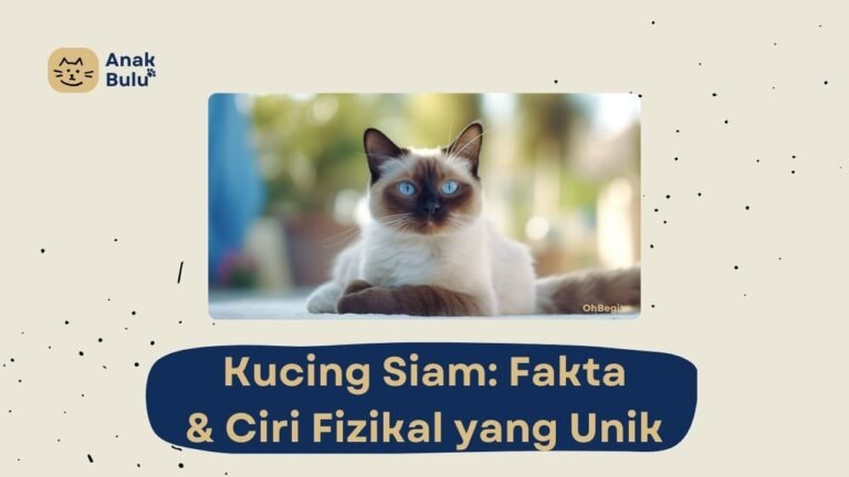 √ Top 17 Baka Kucing Paling Popular di Malaysia 2026 - AnakBulu