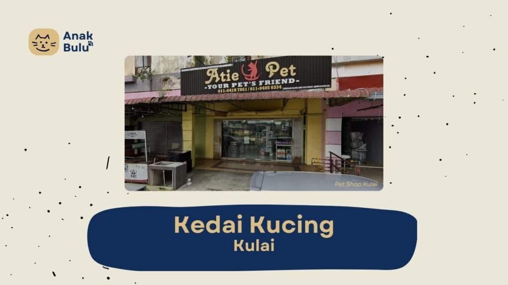 √ Top 11 Kedai Kucing Kulai Paling Best 2026