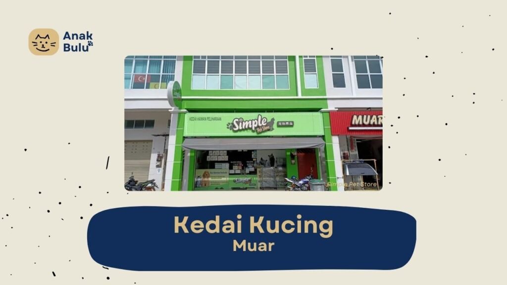 √ Top 6 Kedai Kucing Muar Paling Best 2026