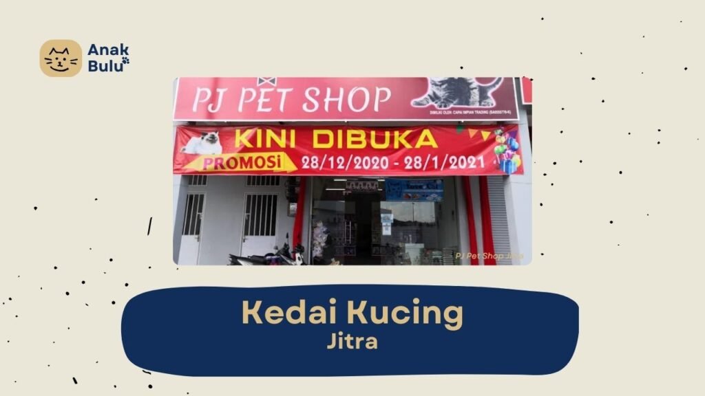 √ Top 11 Kedai Kucing Jitra Paling Best 2026